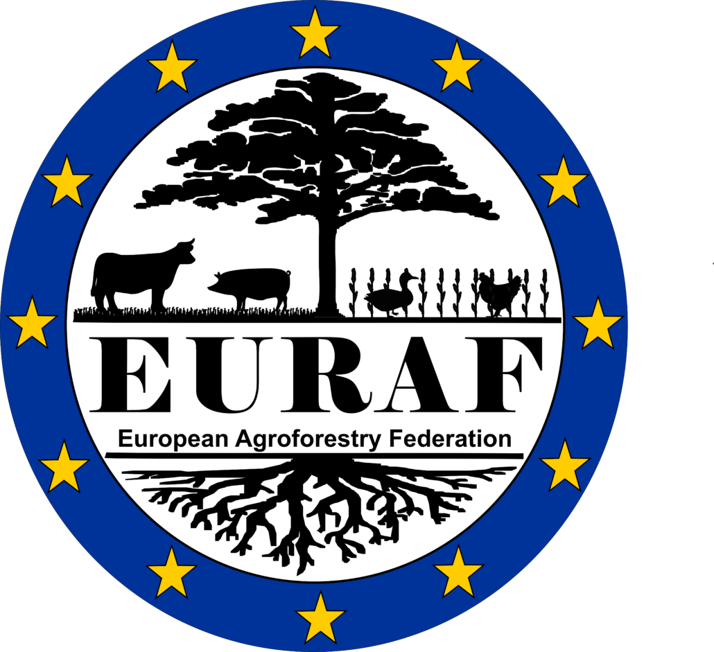 Netzwerk | DEFAF e.V.