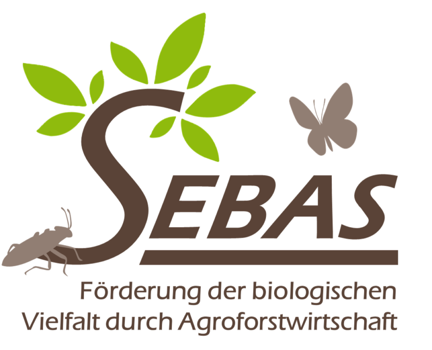 SEBAS - Agroforst