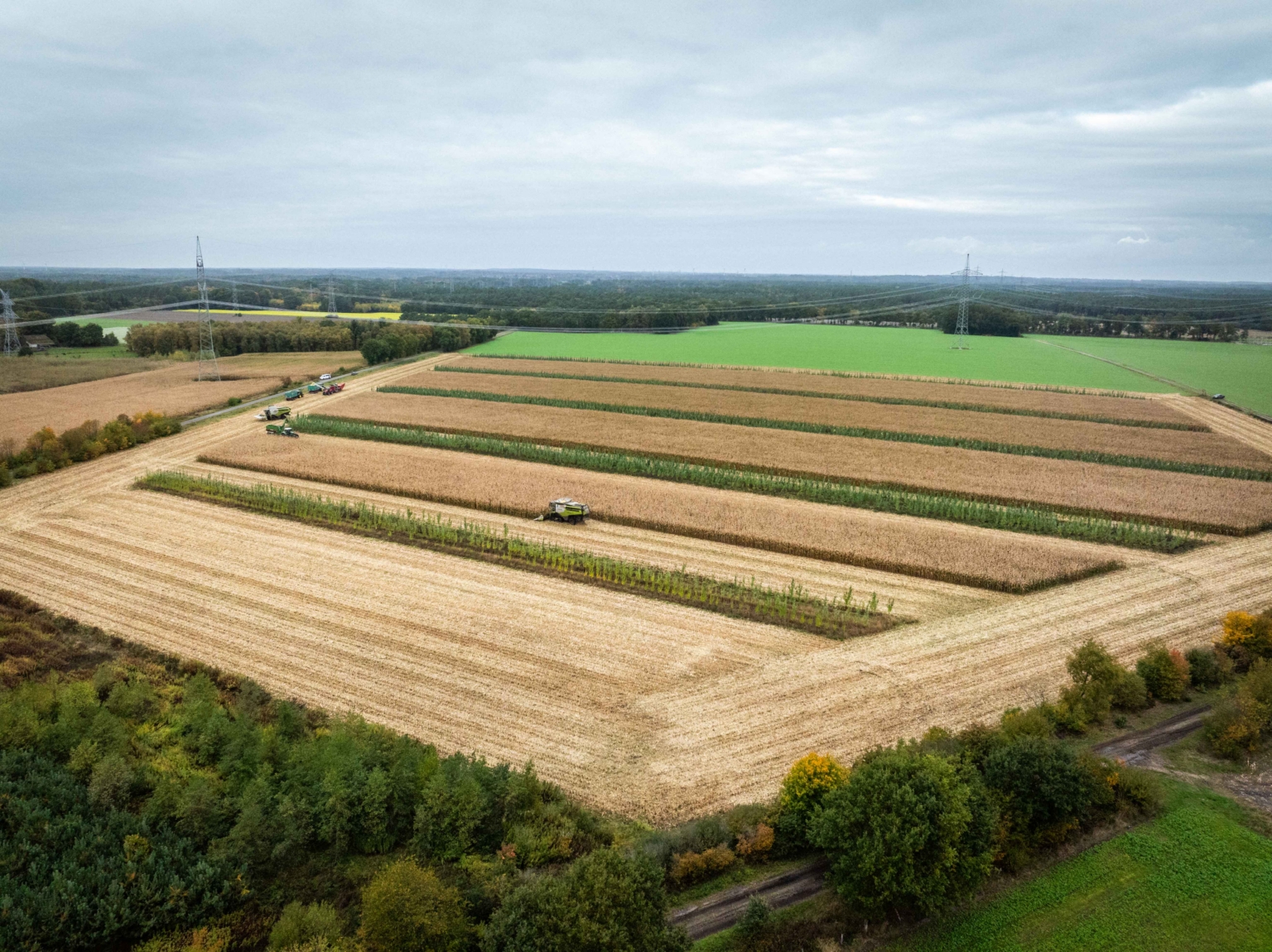 Agroforst als produktionsintegrierte Kompensation (PIK) | DEFAF e.V.